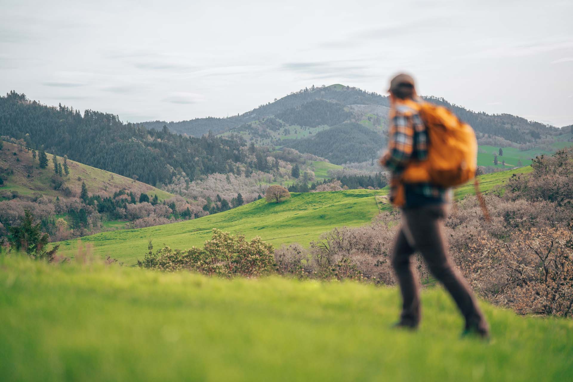 Careers | Con-Vey | Oregon Top Workplace